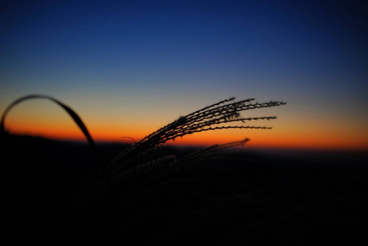 星の綺麗な朝 / ta2さんの鳴神山・吾妻山の活動データ | YAMAP / ヤマップ