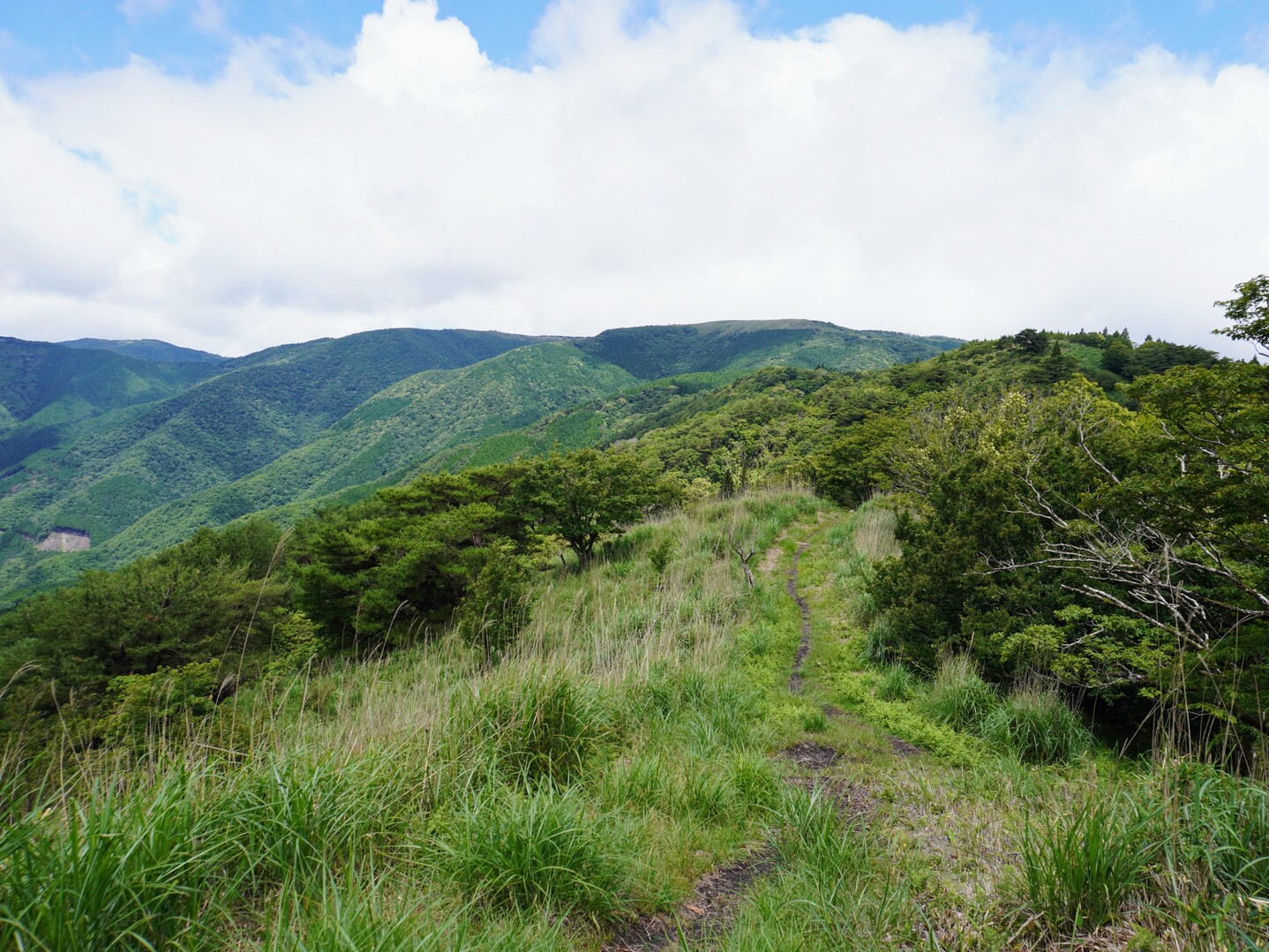 天空の遊歩道🤩 達磨ヶ峰～段ヶ峰 / bin0724さんの段ヶ峰・笠杉山・千町ヶ峰の活動データ | YAMAP / ヤマップ