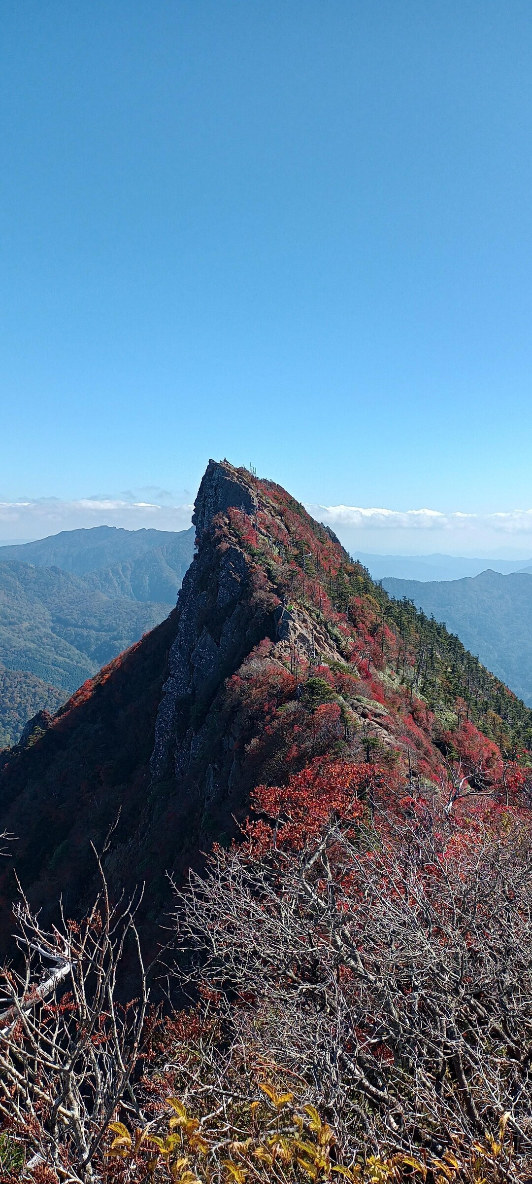 石鎚山・天狗岳・南尖峰 / SEIさんの石鎚山・堂ヶ森・二ノ森の活動データ | YAMAP / ヤマップ
