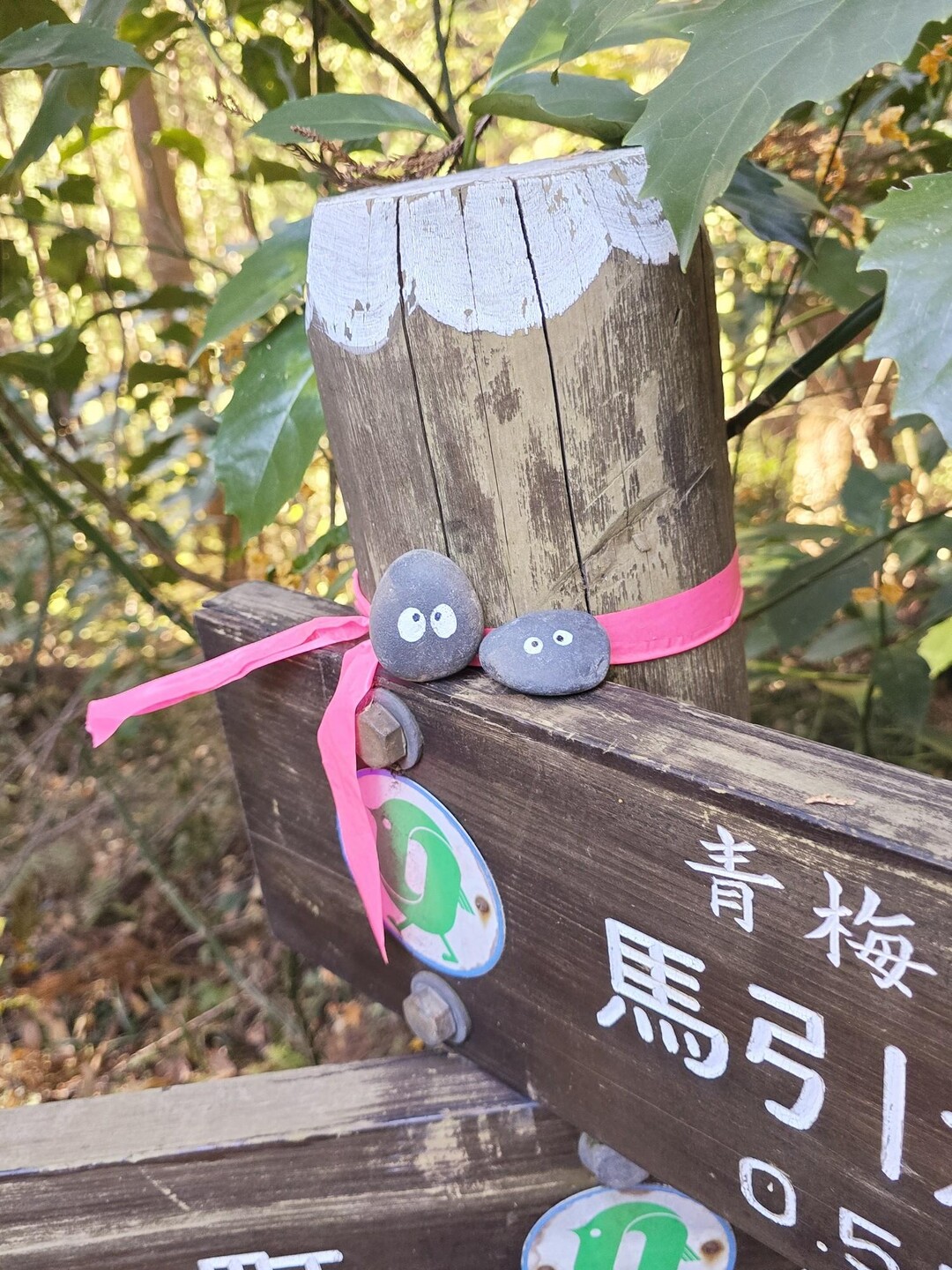 赤ぼっこ / ずんだMAXさんの赤ぼっこの活動データ | YAMAP / ヤマップ