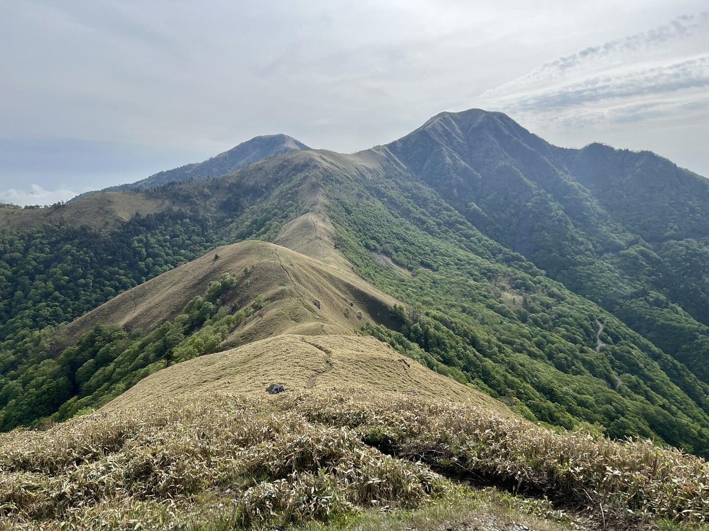 2年ぶりの剣山〜三嶺縦走 / chieさんの剣山の活動データ | YAMAP / ヤマップ