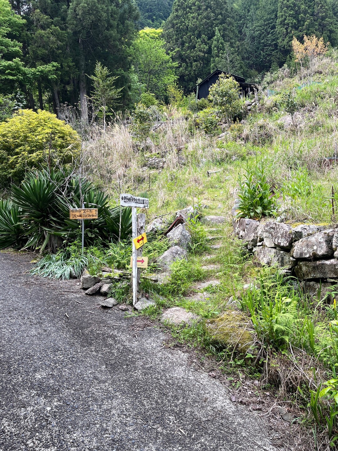 ガッキーさんの投稿したフィールドメモ | YAMAP / ヤマップ