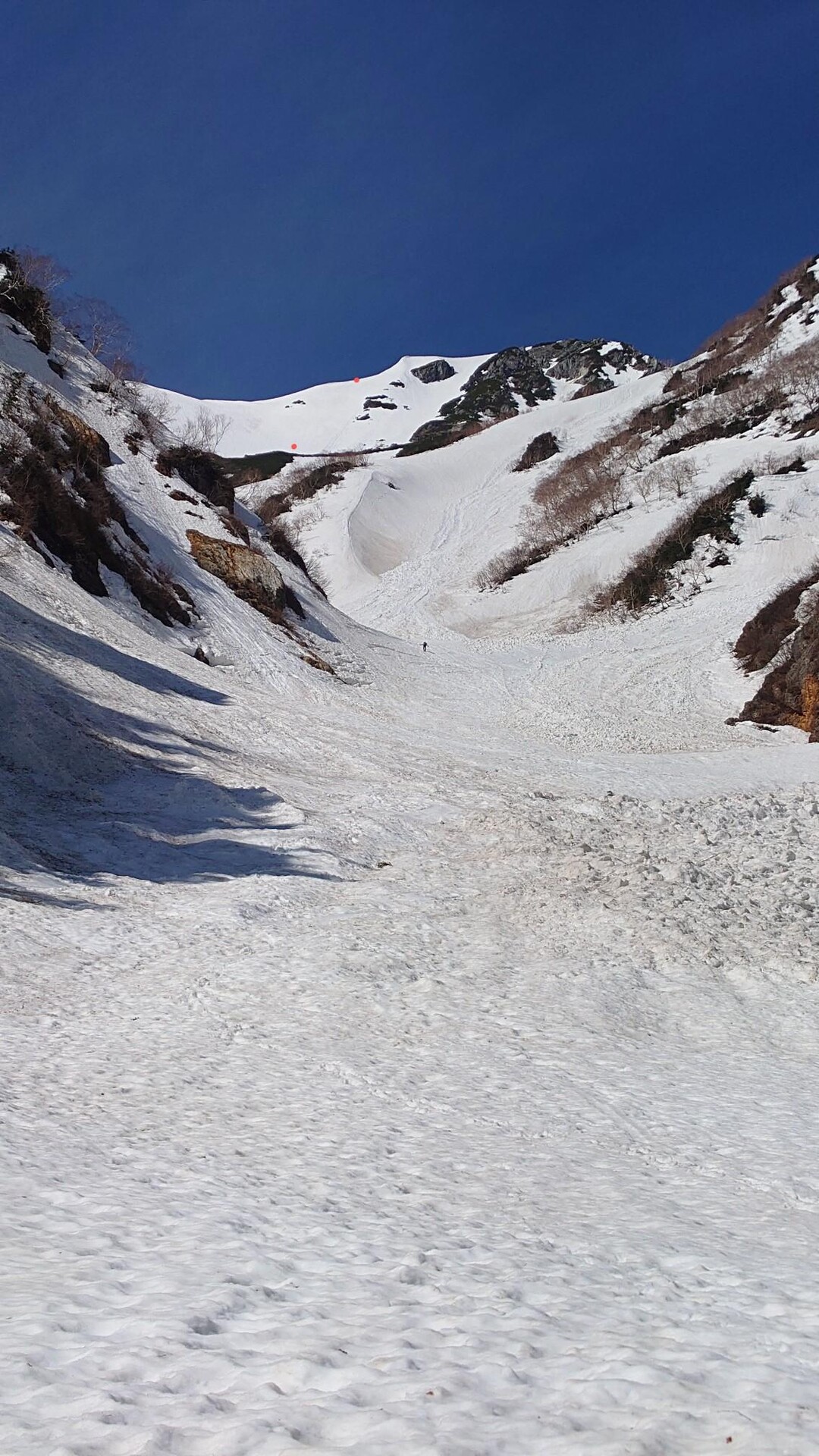 GW前の平日 針木岳BCスキー 本日4... / mc40さんのモーメント | YAMAP / ヤマップ