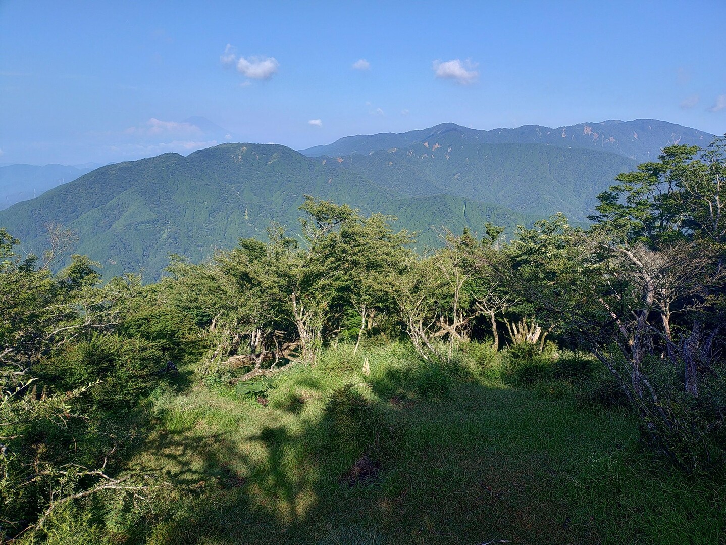 大山・西沢ノ頭・北尾根 / Kozyさんの大山の活動データ | YAMAP / ヤマップ