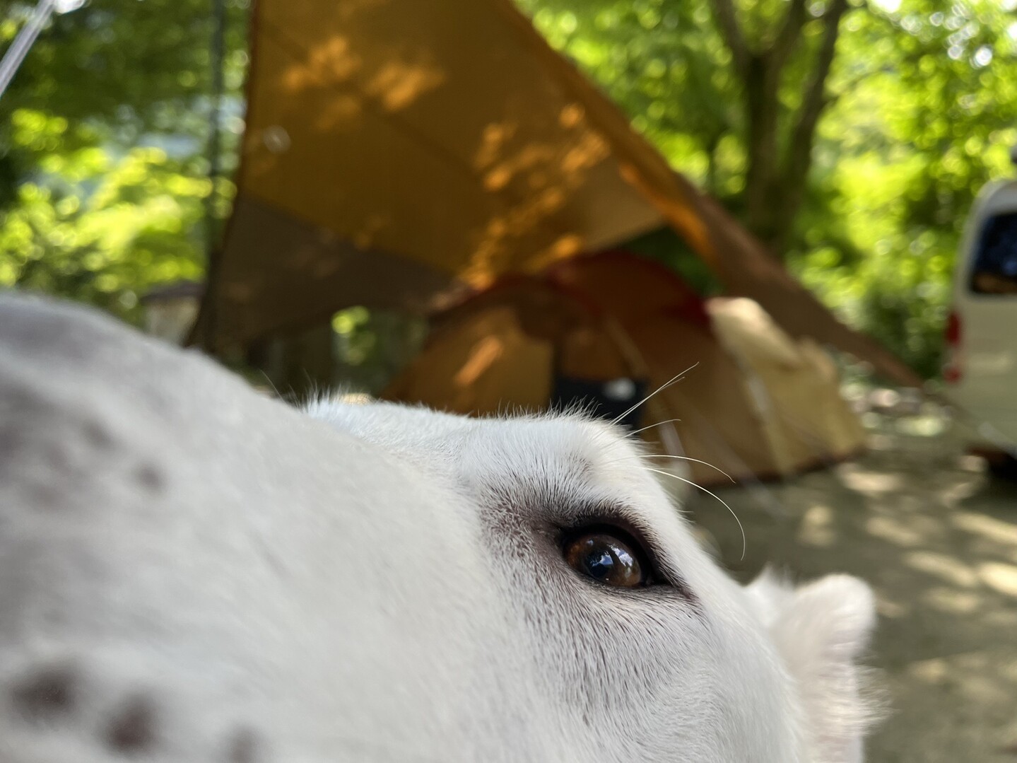 休みって最高。 / Yu Nakagawa さんのモーメント | YAMAP / ヤマップ