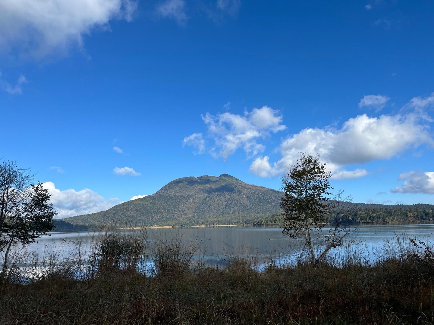 燧ヶ岳（柴安嵓）・至仏山・尾瀬ヶ原 / Okaさんの尾瀬・燧ヶ岳の活動データ | YAMAP / ヤマップ