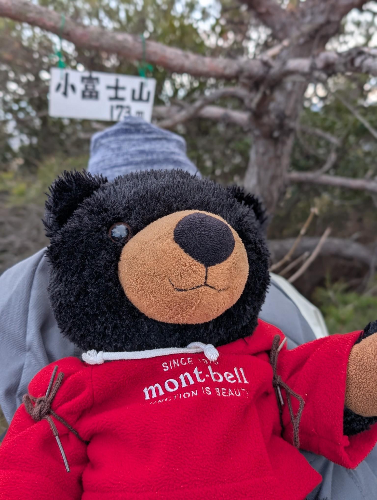 小富士山 / mioさんの小富士山・御旅山・高坪山の活動データ | YAMAP / ヤマップ