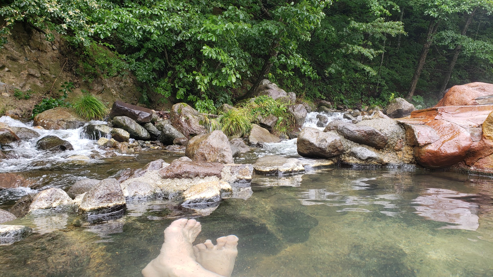 雨です☔ 当然山にも行けません😔 ... / mozuさんのモーメント | YAMAP / ヤマップ