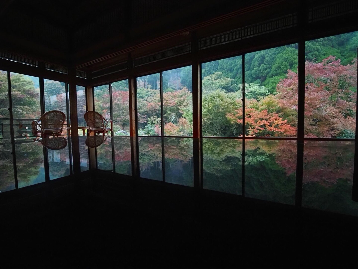 作礼山東峰（権現山）・作礼山・897ピーク / しまもんさんの作礼山の活動データ | YAMAP / ヤマップ