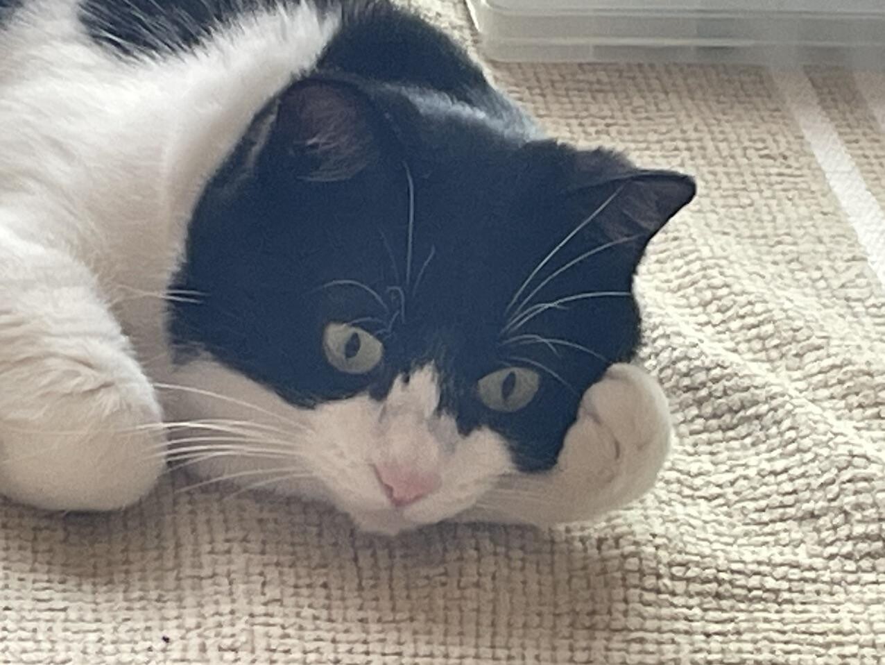 keiのページ | YAMAP / ヤマップ