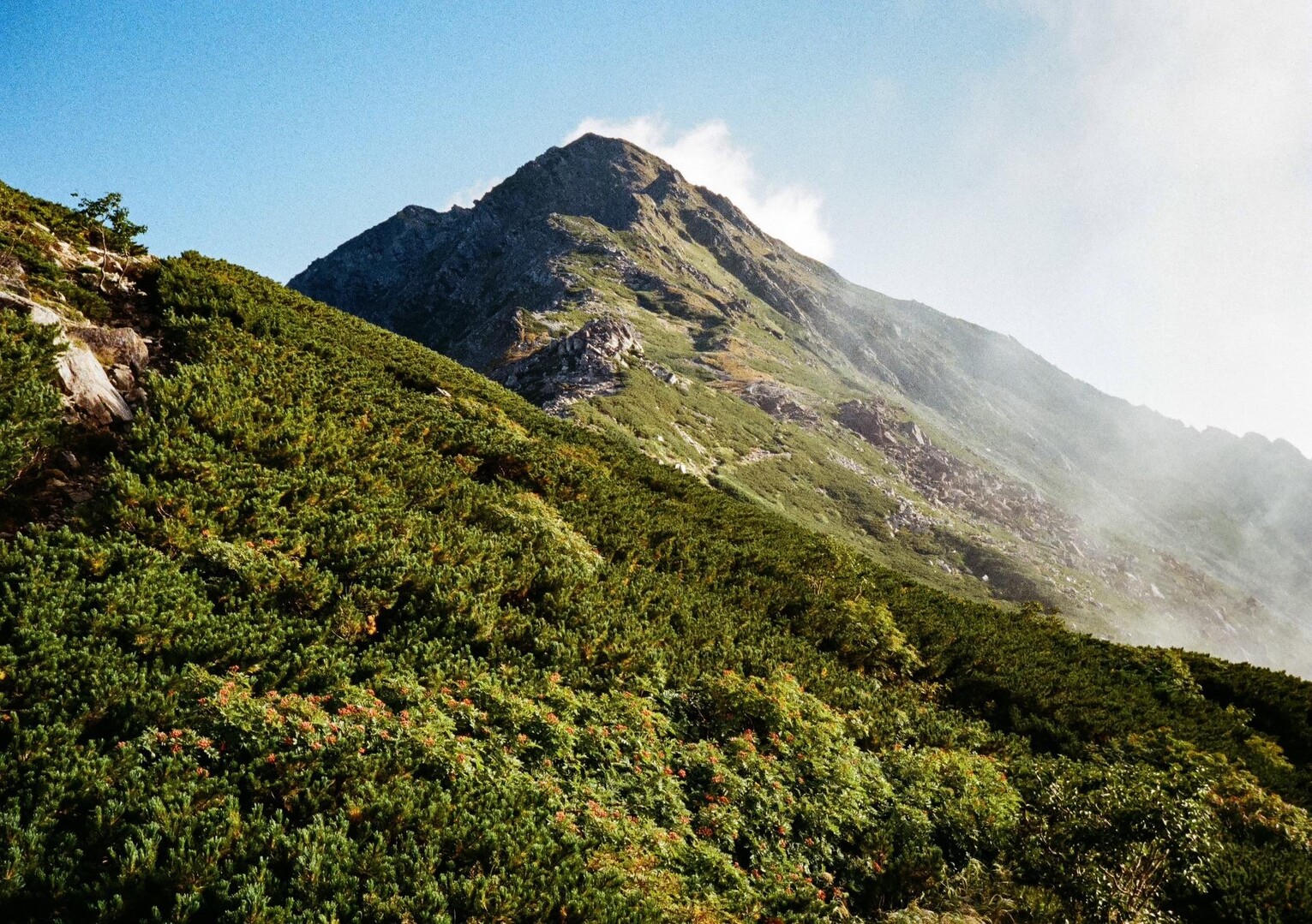 Pentax17というハーフサイズフィル... / YUHYAさんのモーメント | YAMAP / ヤマップ