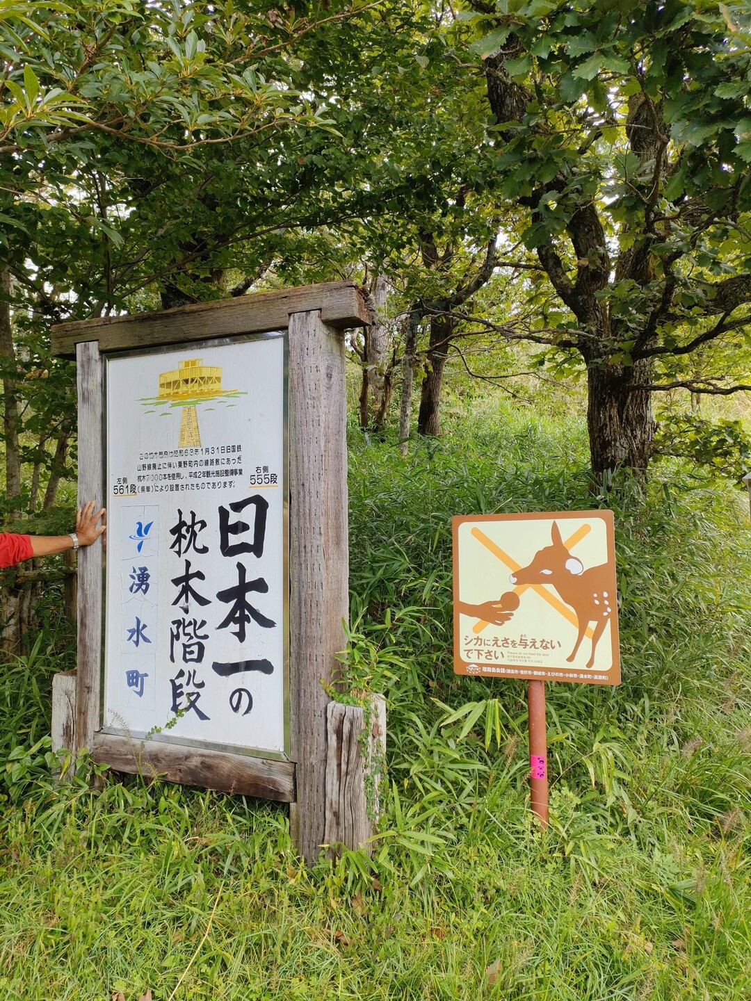 栗野岳第2峰 / accoさんの霧島山・韓国岳・高千穂峰・夷守岳・烏帽子岳の活動データ | YAMAP / ヤマップ