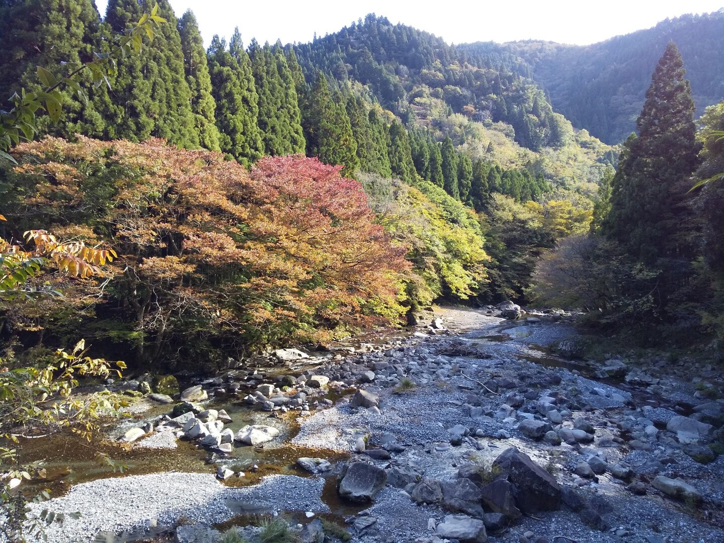 トレーニングさんの投稿したフィールドメモ | YAMAP / ヤマップ