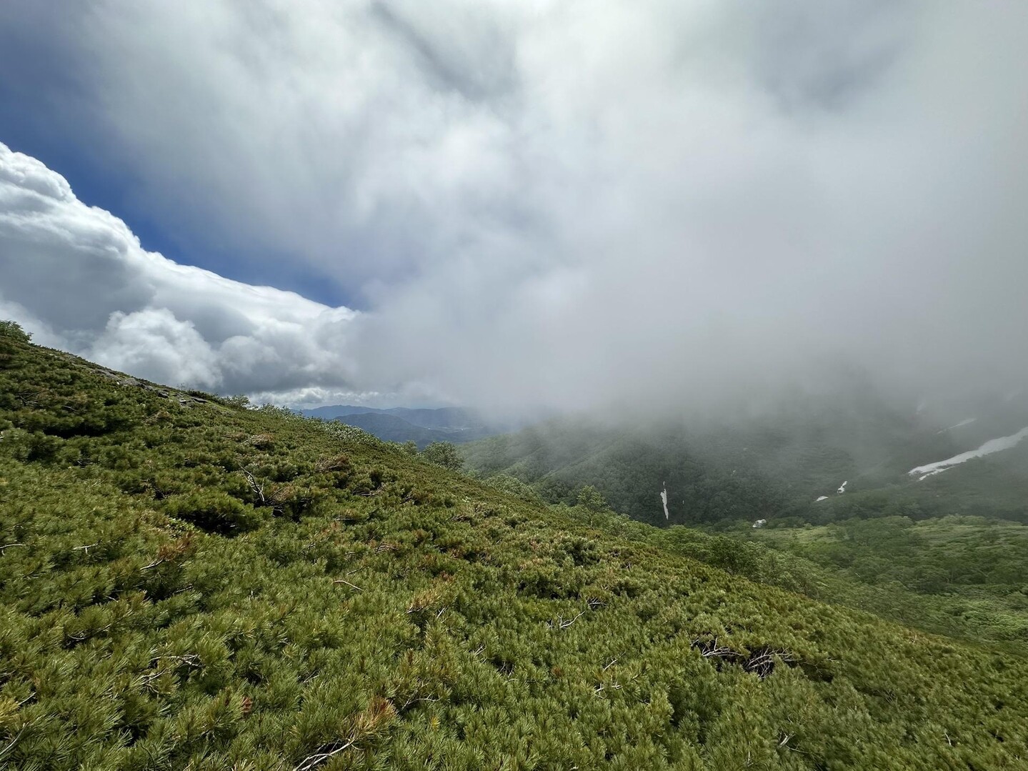 トムラウシ山（下り） / Nero-Piさんの大雪山系・旭岳・トムラウシの活動データ | YAMAP / ヤマップ