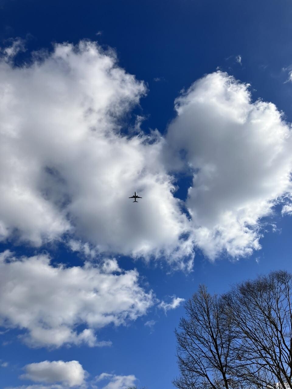 sakoのページ | YAMAP / ヤマップ