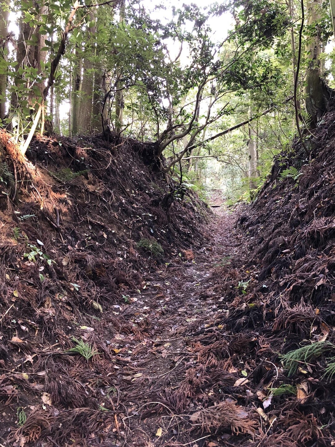 宝達山-2022-12-12 / magさんの宝達山の活動データ | YAMAP / ヤマップ