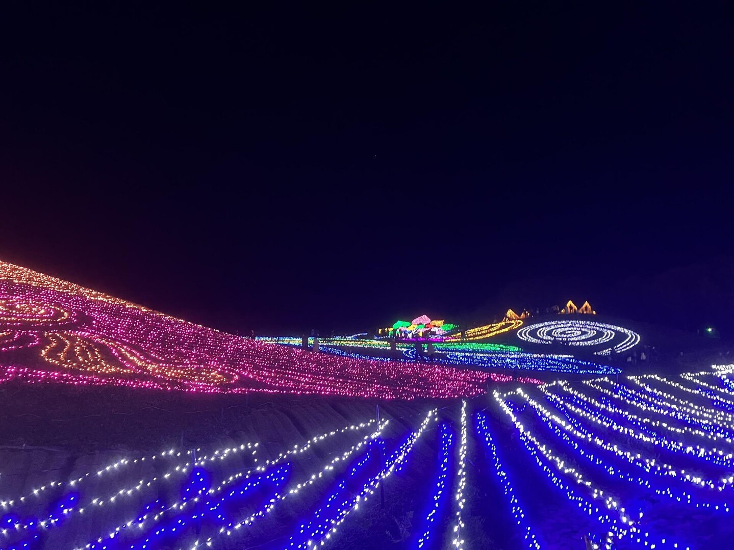讃岐まんのう公園。ライトアップがはじまっ... / knさんのモーメント | YAMAP / ヤマップ