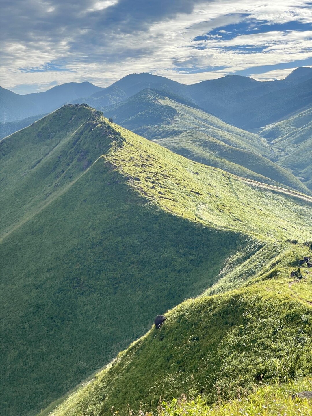 熊本 一ノ峯から二ノ峯 美しい稜線 歩き / miu.07さんの俵山・冠ヶ岳・清栄山の活動データ | YAMAP / ヤマップ