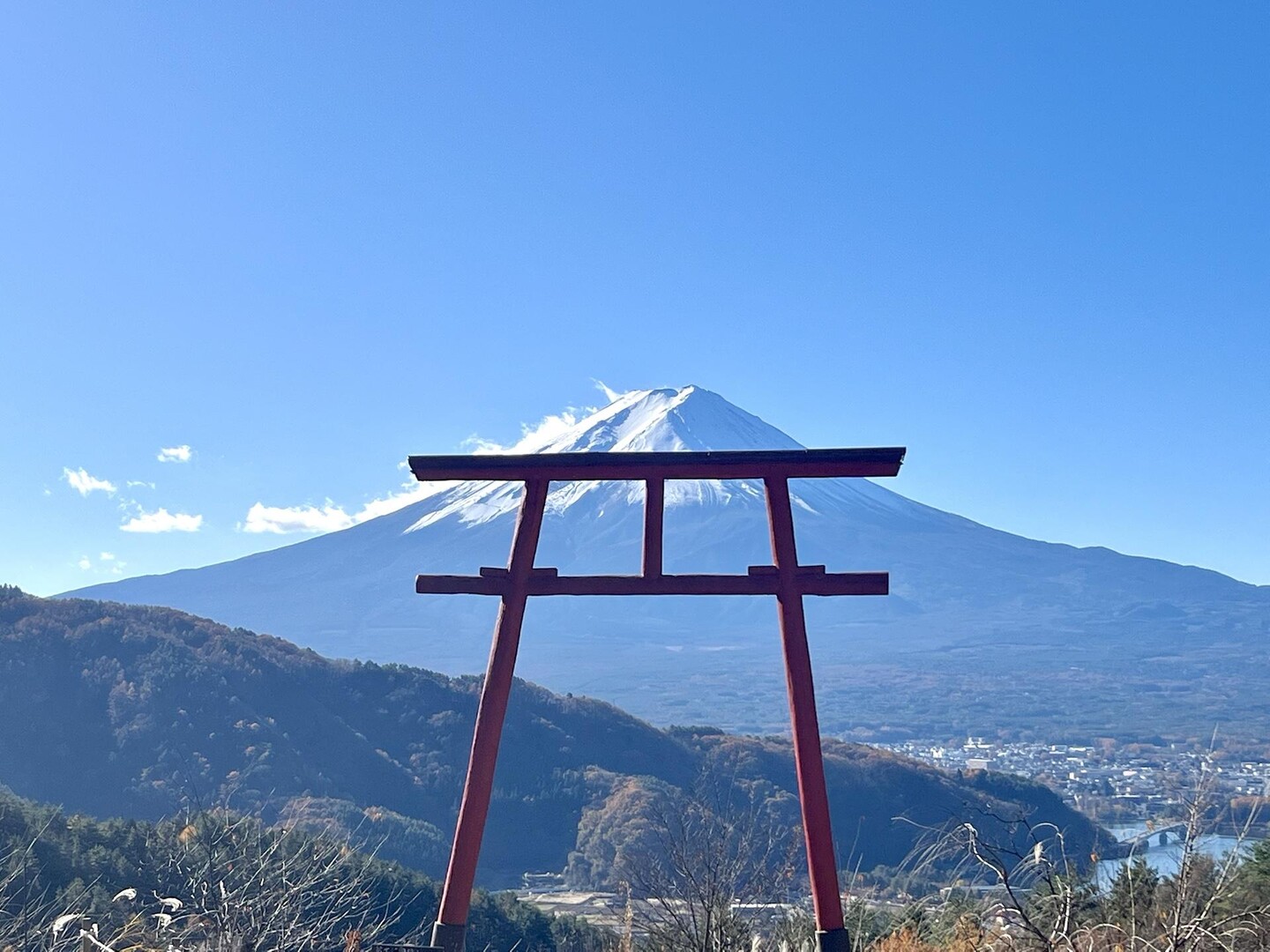 大きな忘れもの / kumiさんの三ッ峠山・本社ヶ丸・鶴ヶ鳥屋山の活動データ | YAMAP / ヤマップ