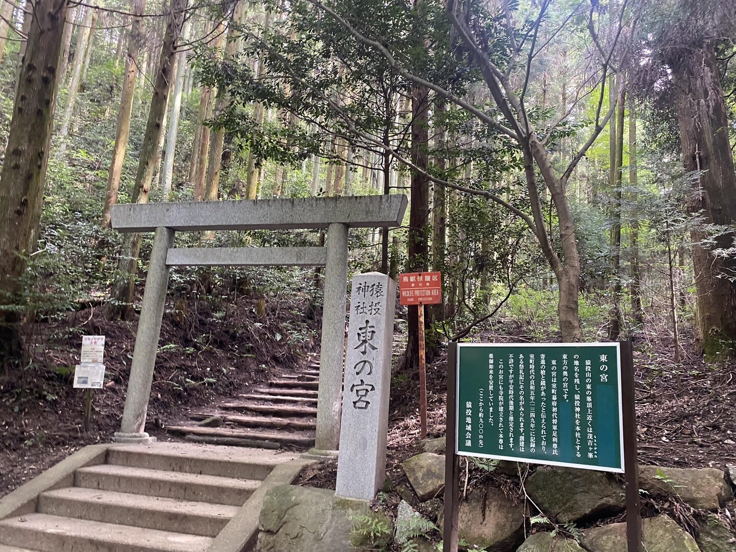 猿投山 / TKさんの猿投山・物見山の活動データ | YAMAP / ヤマップ