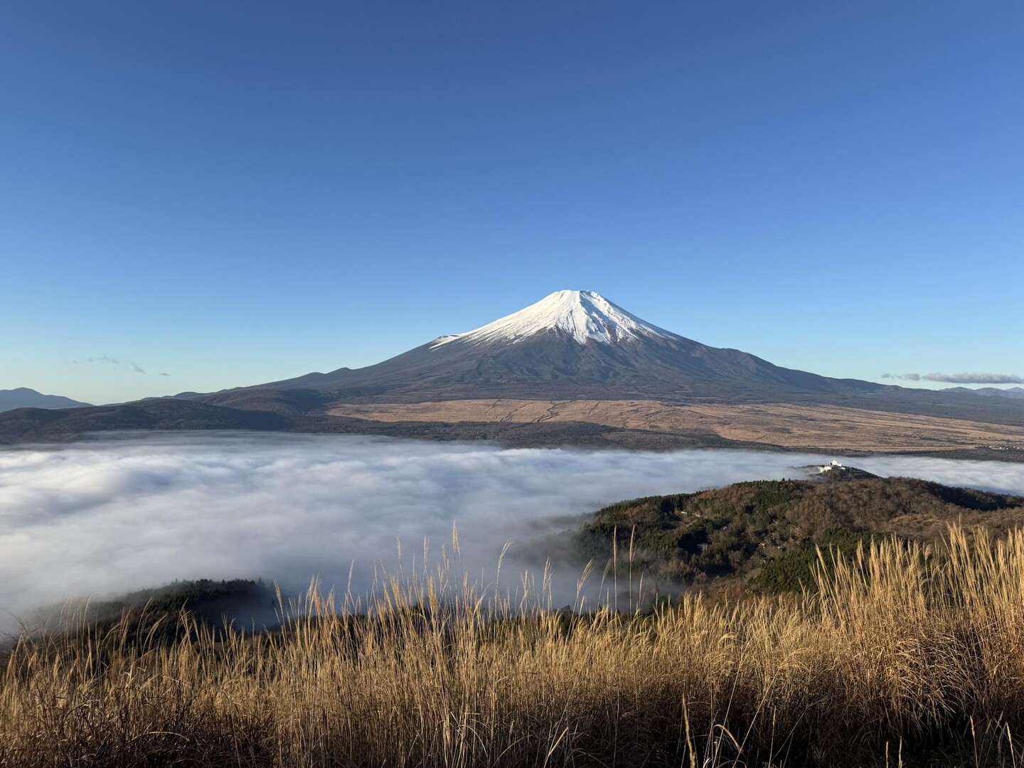 三国山（山中湖周回） / rieさんの三国山・大洞山・不老山の活動データ | YAMAP / ヤマップ