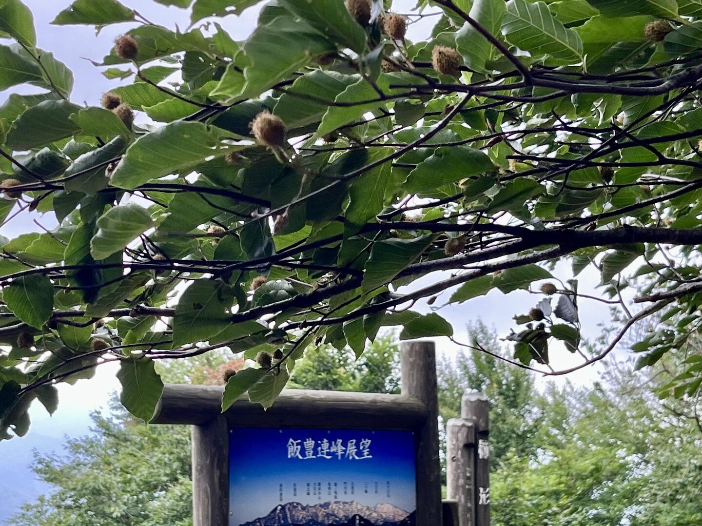 ホーム櫛形山で充電 ️r6-NO.5 / w823hさんの櫛形山・鳥坂山・大峰山（櫛形山脈）の活動データ | YAMAP / ヤマップ