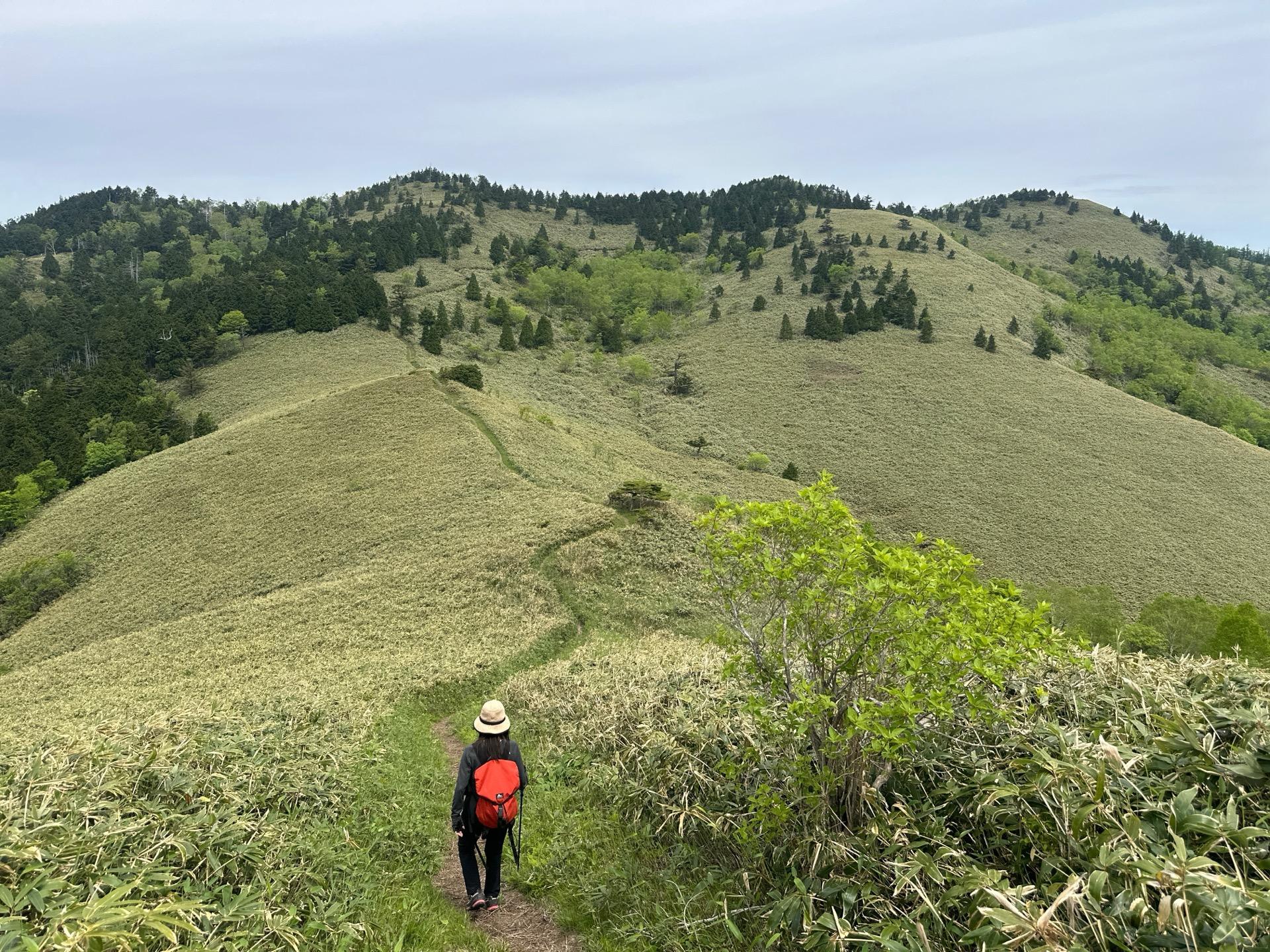 富士見台 / yyさんの恵那山・大判山・神坂山の活動データ | YAMAP / ヤマップ