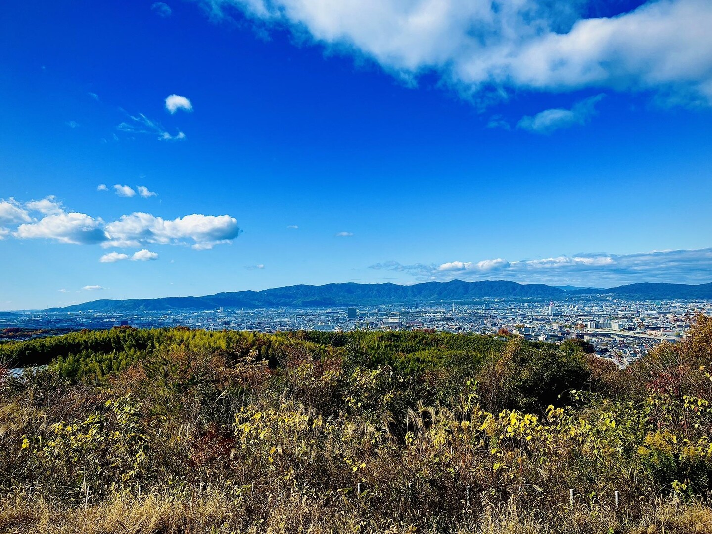 KGR試走🏃‍♂️大津〜亀岡 訳あって逆走🏃‍♂️💨 / ヤマテツさんのポンポン山・釈迦岳・小塩山・若山の活動データ | YAMAP / ヤマップ