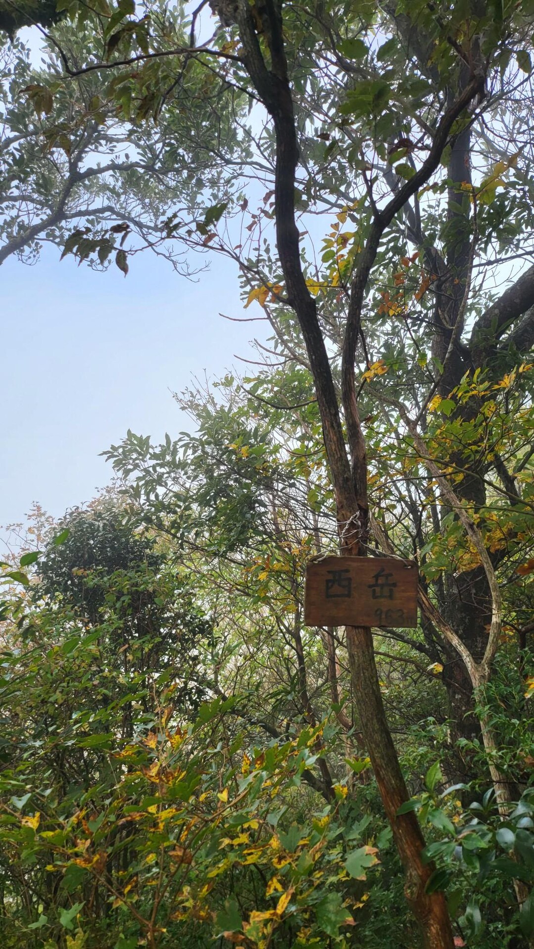 Park.gutiさんの投稿したフィールドメモ | YAMAP / ヤマップ