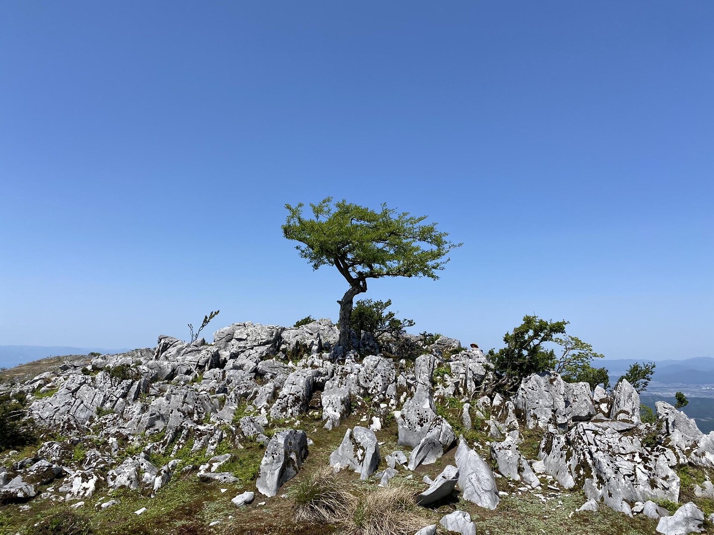 南霊岳・霊仙山最高点・霊仙山・経塚山 / hiroshiさんの霊仙山の活動日記 | YAMAP / ヤマップ