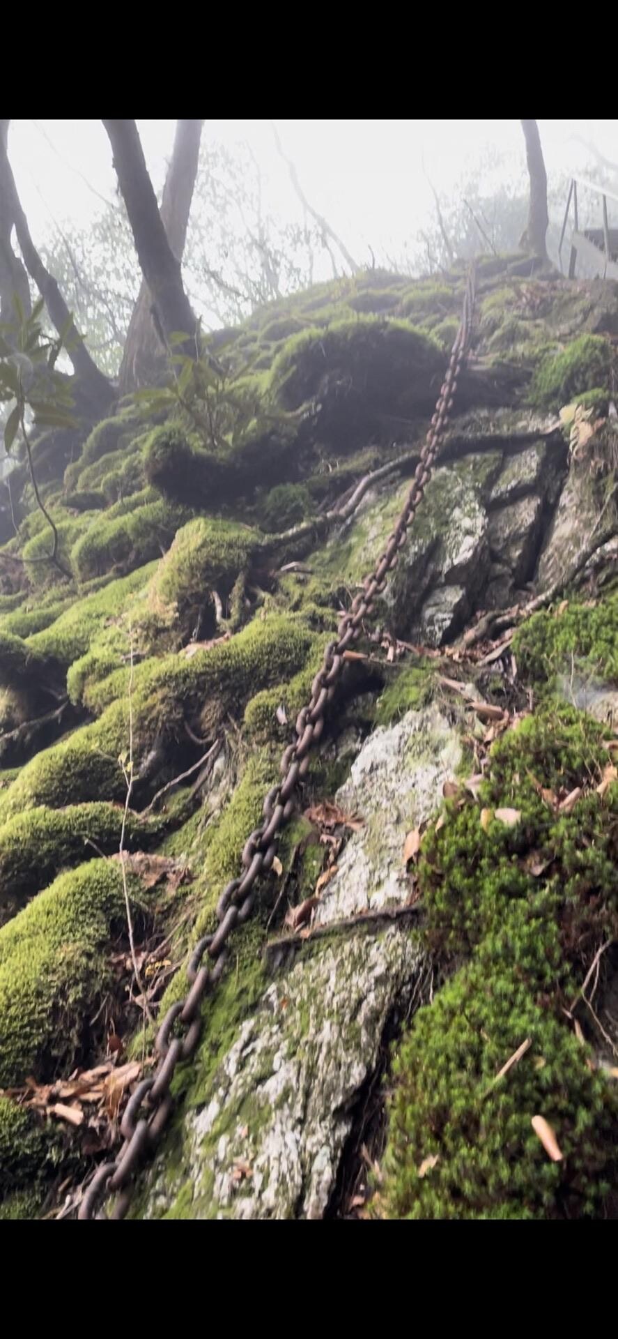 梶ヶ森 / gussanさんの梶ヶ森の活動日記 | YAMAP / ヤマップ