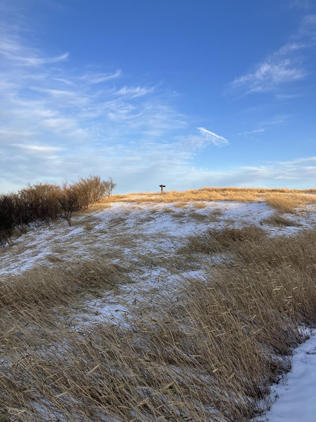 下蒜山・雲居平 / go−maruさんの蒜山の活動データ | YAMAP / ヤマップ