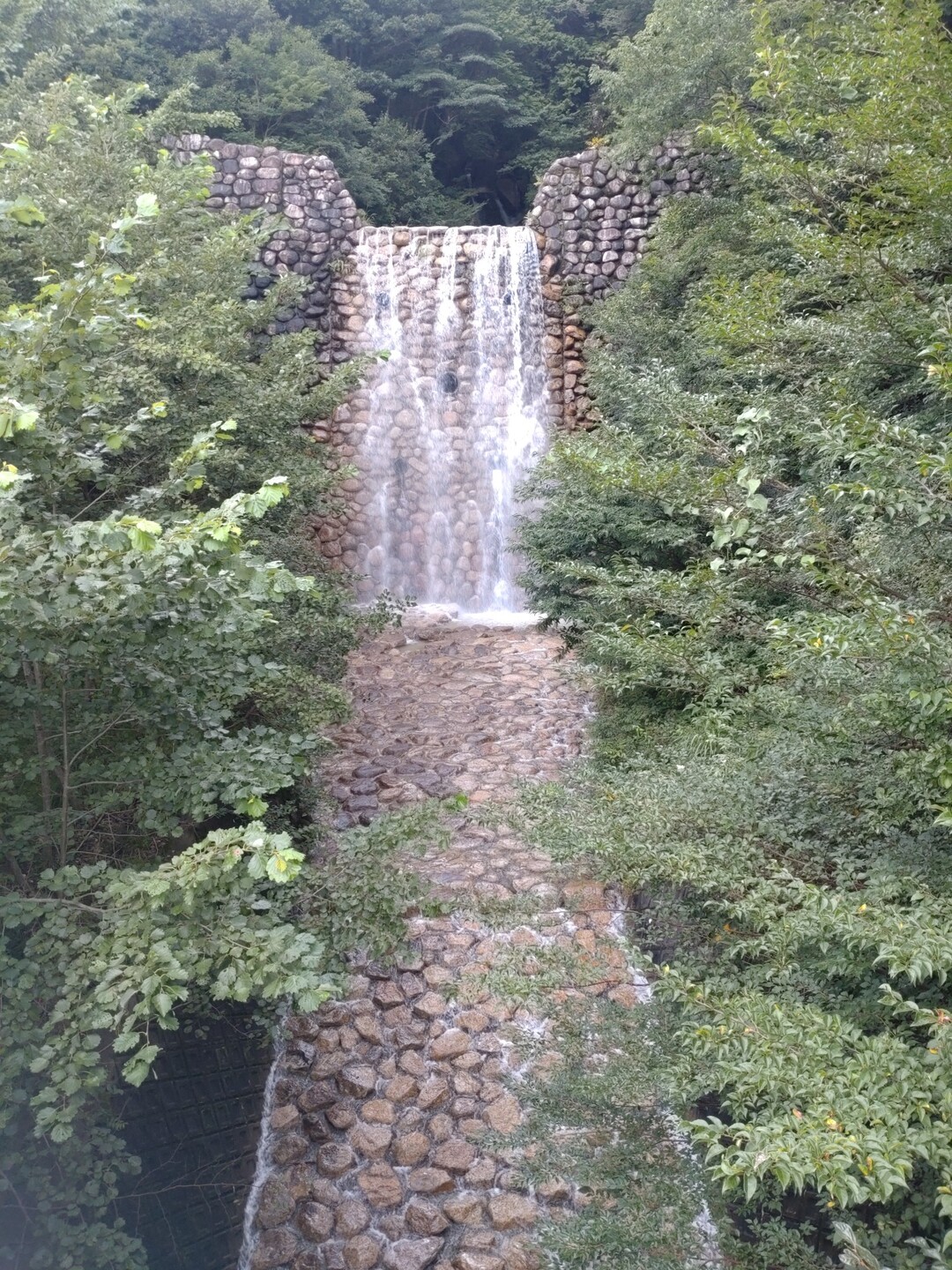 ks104478さんの投稿したフィールドメモ | YAMAP / ヤマップ