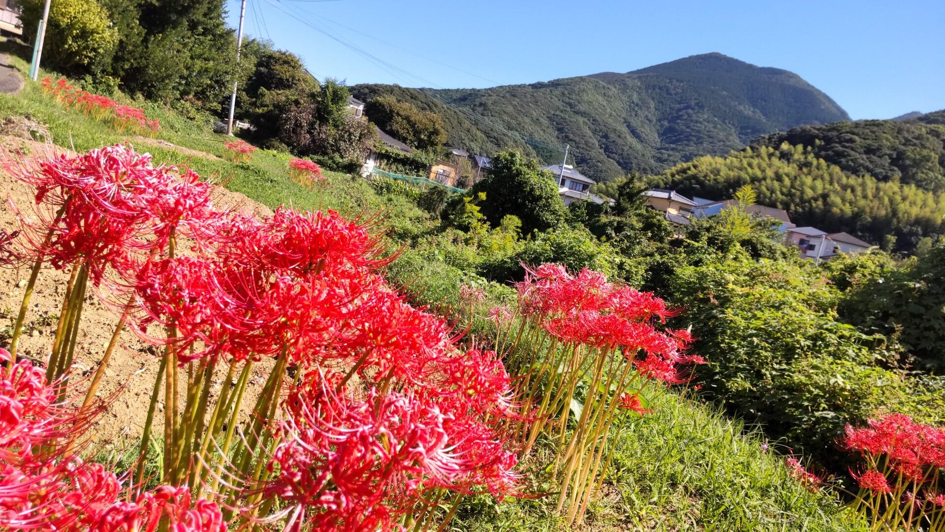 新規ルートで八郎岳へ😄 / issaさんの八郎岳・松尾岳・熊ヶ峰の活動データ | YAMAP / ヤマップ