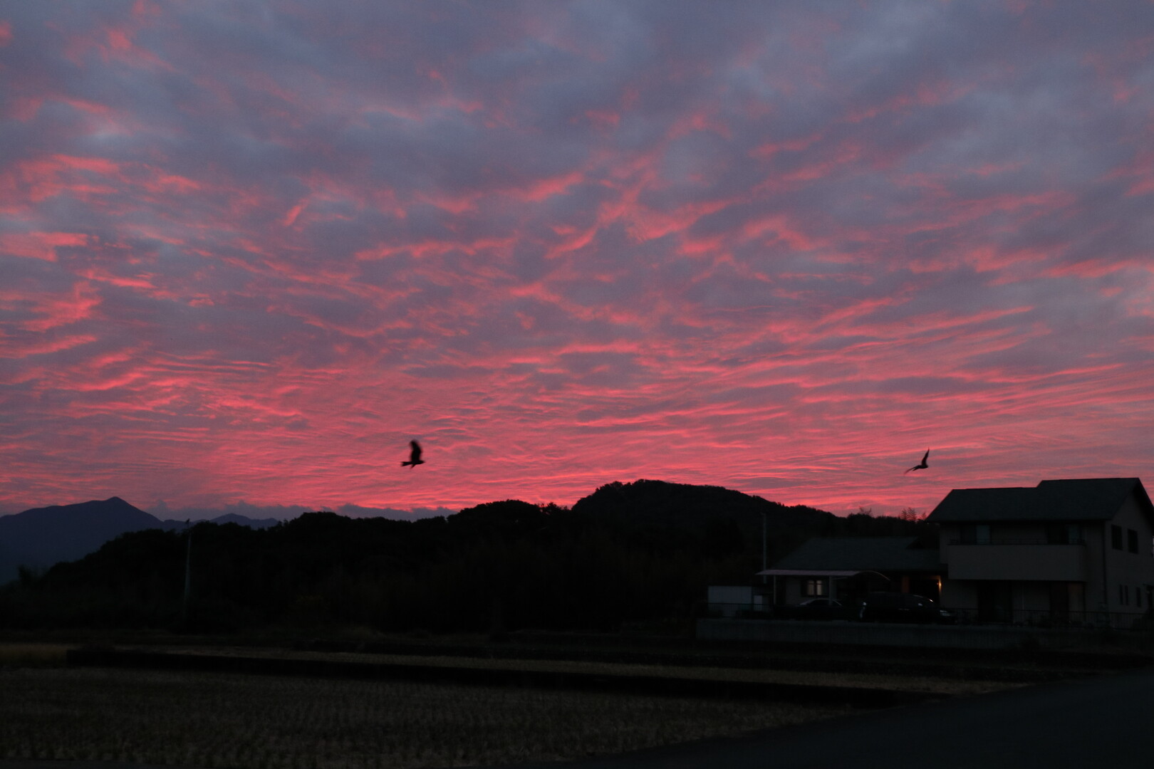 ふと外を見ると赤みがさしている。 夕焼け... / miippさんのモーメント | YAMAP / ヤマップ