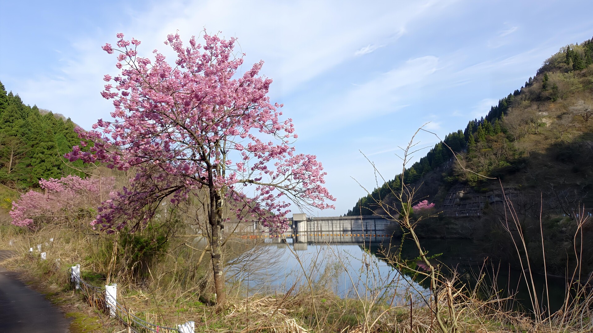 エクストリーム通勤 / cyanさんの大佛寺山の活動データ | YAMAP / ヤマップ