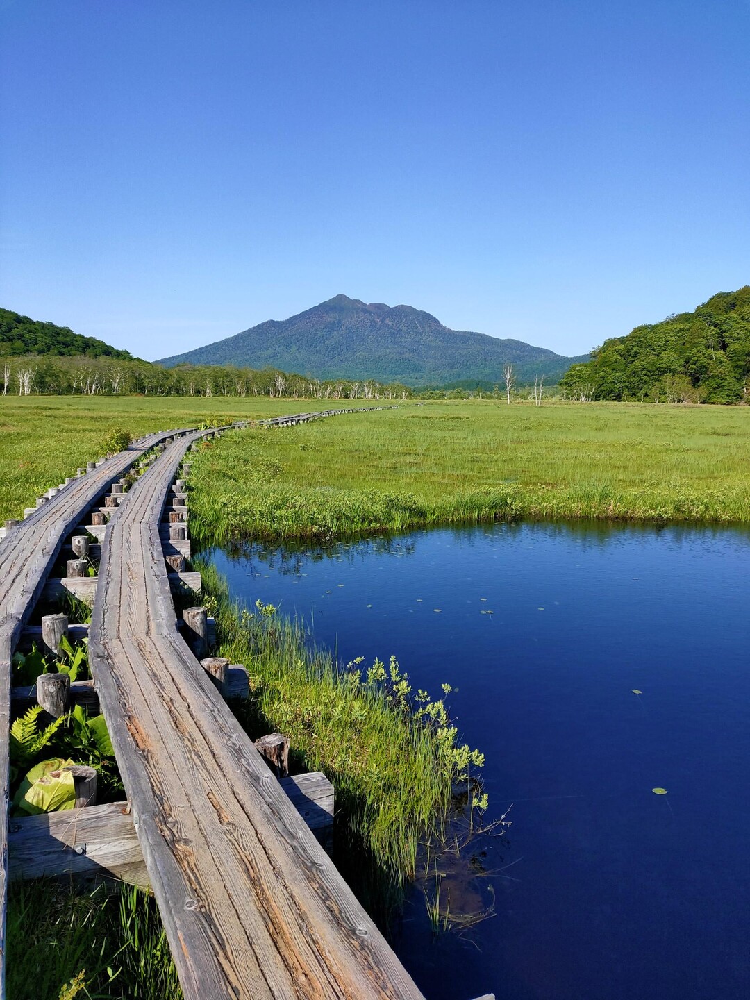 尾瀬・燧ヶ岳-2023-06-17 / o-----jiさんの尾瀬・燧ヶ岳の活動データ | YAMAP / ヤマップ