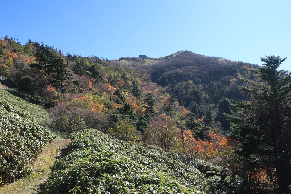 紅葉シーズンの剣山と次郎笈 / 和さんの剣山の活動データ | YAMAP / ヤマップ