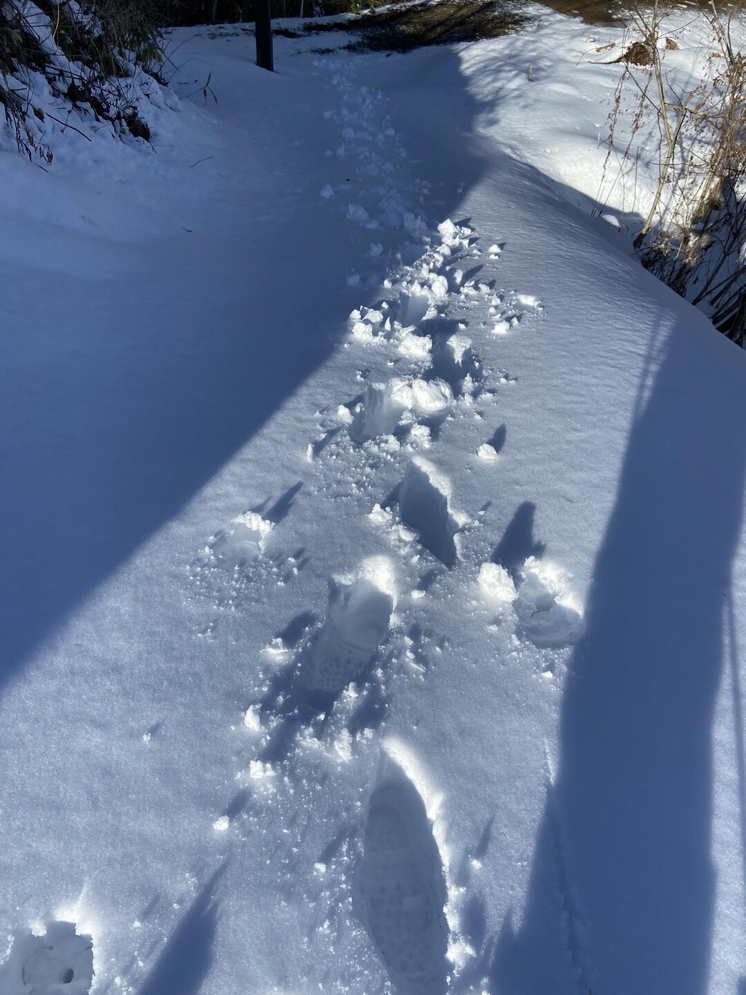 ウォーキング-2024-01-17 / ウォーキングの写真36枚目 / こんな感じ‼️ | YAMAP / ヤマップ