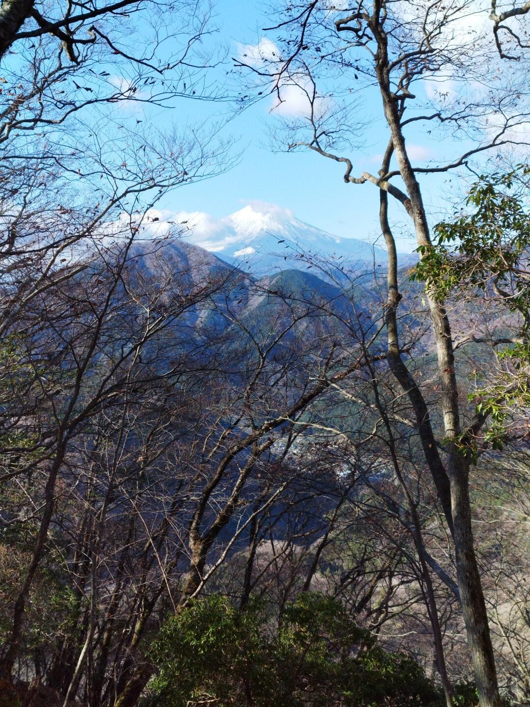 弥七沢ノ頭・橅ノ平・大杉山・大ノ山 バリルート / horitakaさんの大室山・畦ヶ丸山・菰釣山の活動データ | YAMAP / ヤマップ