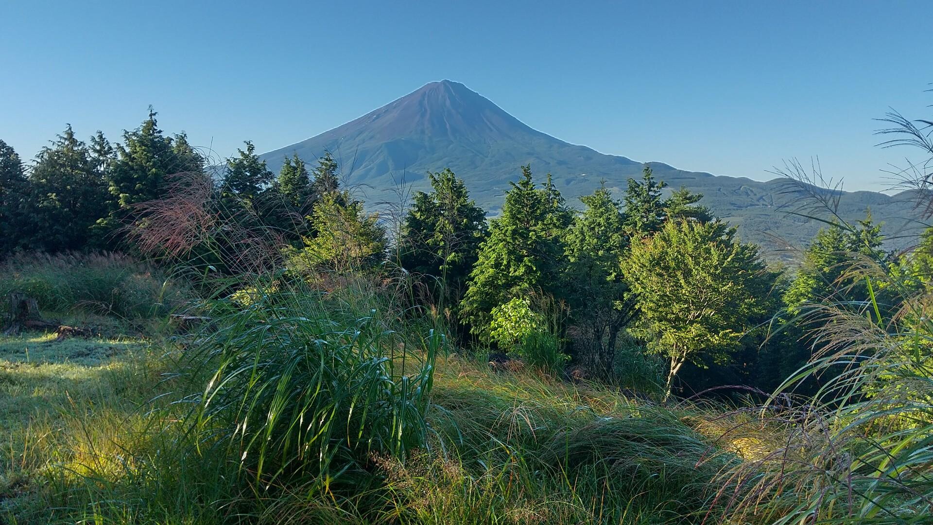 16.3km 羽根子山~足和田山(五湖台)~三湖台 2023/8/25 / tamiさんの節刀ヶ岳・破風山・足和田山の活動データ | YAMAP / ヤマップ