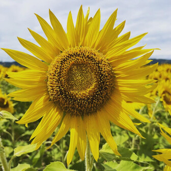 tetuのページ | YAMAP / ヤマップ