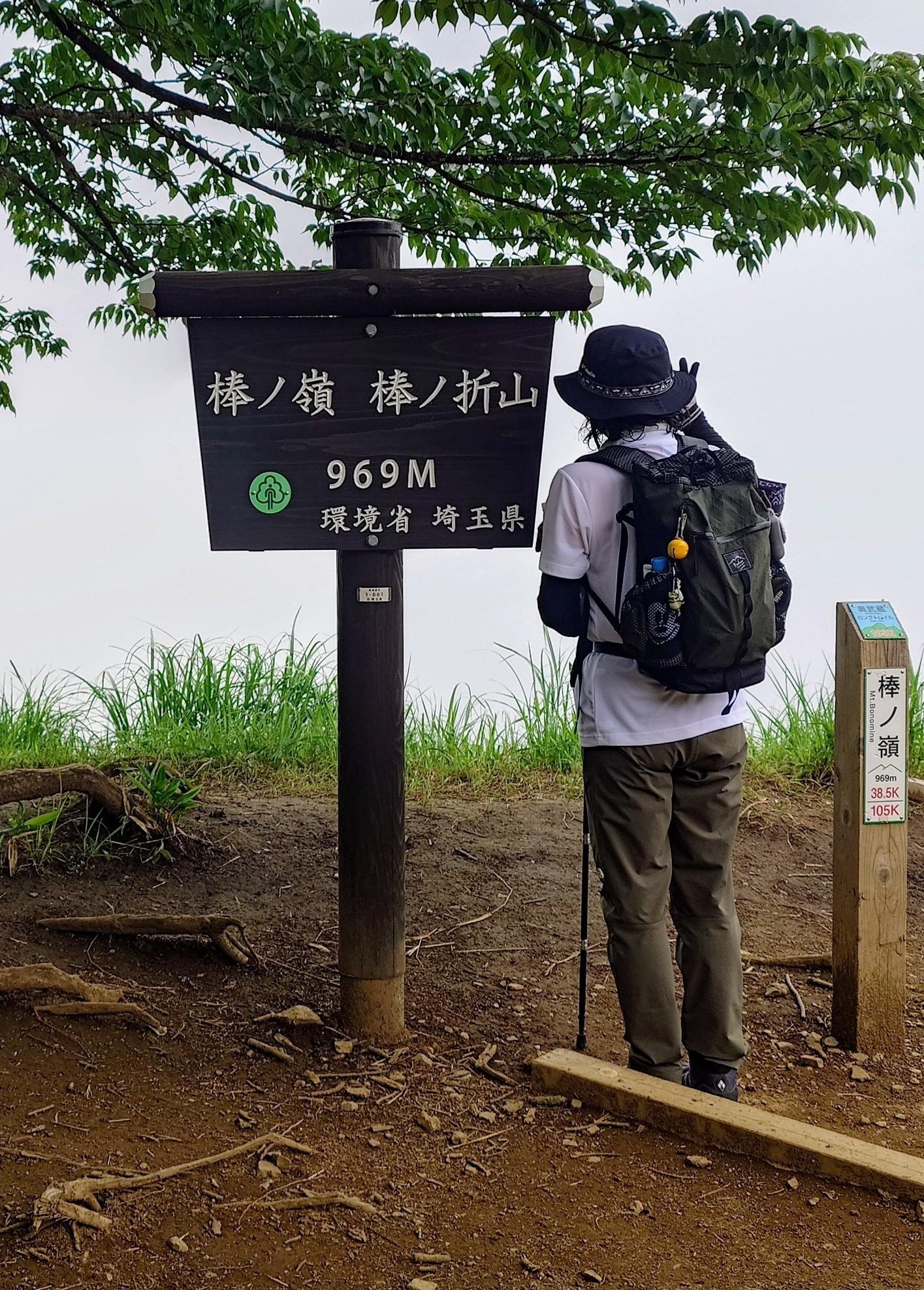 棒ノ嶺（棒ノ折山）500座🎉 / しずさんの棒ノ折山（棒ノ嶺）の活動日記へのコメント一覧 | YAMAP / ヤマップ