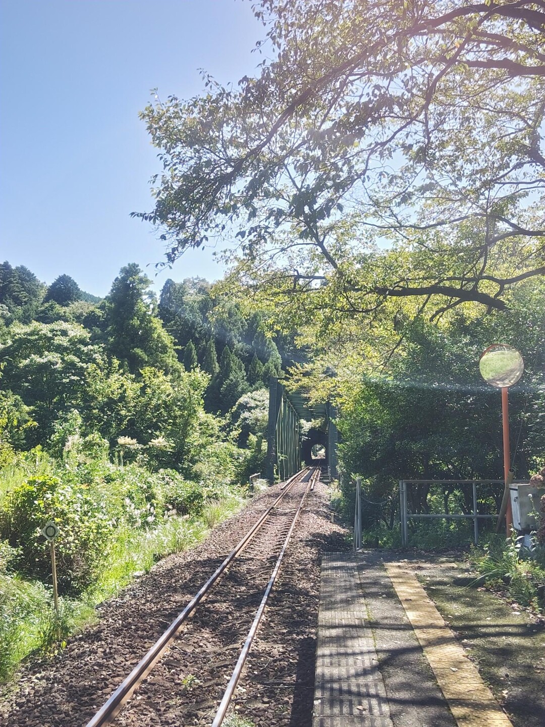 大茂山 / sonomin-minさんの大茂山の活動データ | YAMAP / ヤマップ