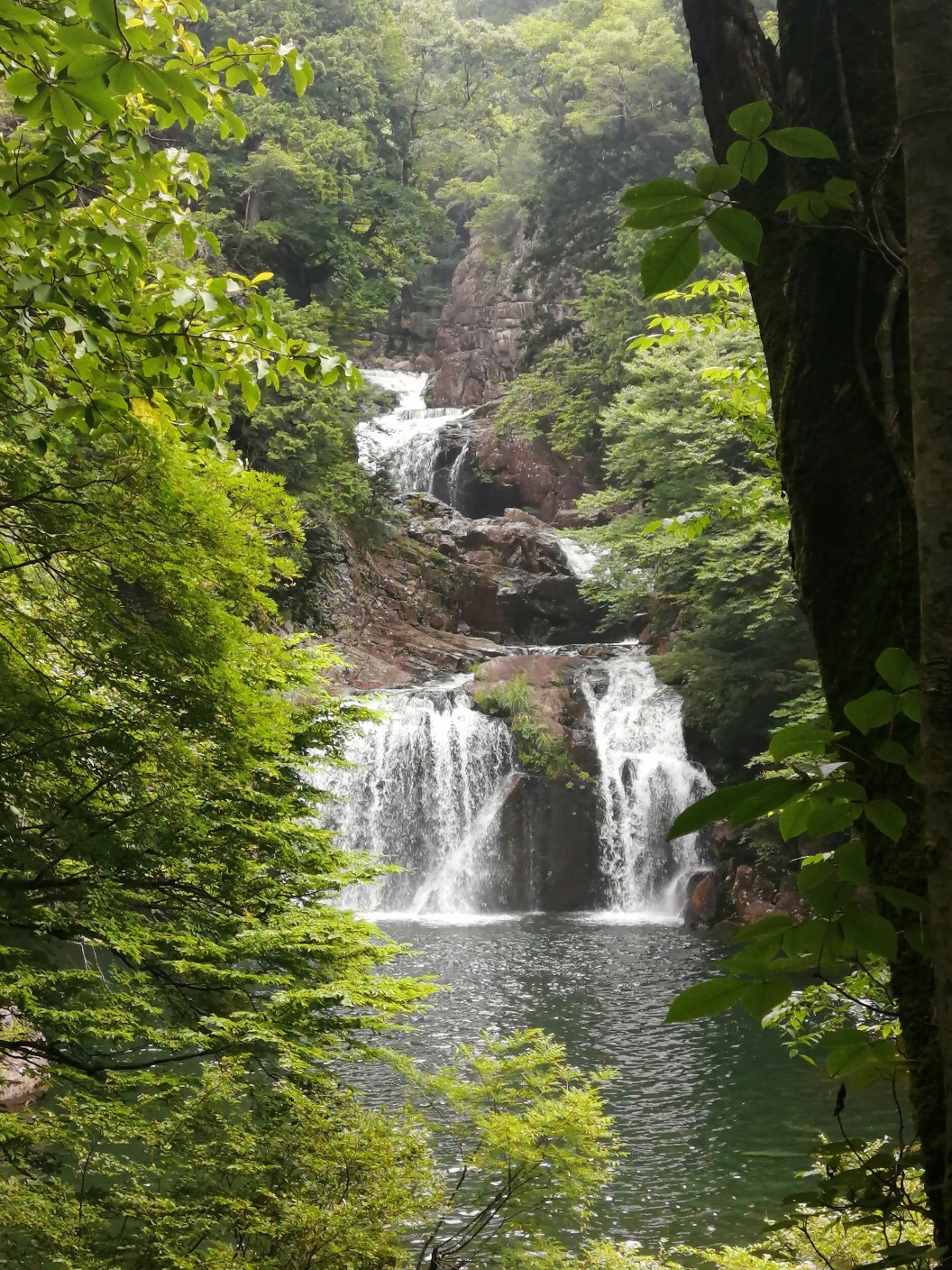 三ツ滝へ / TK-1111さんの聖山・高岳の活動データ | YAMAP / ヤマップ