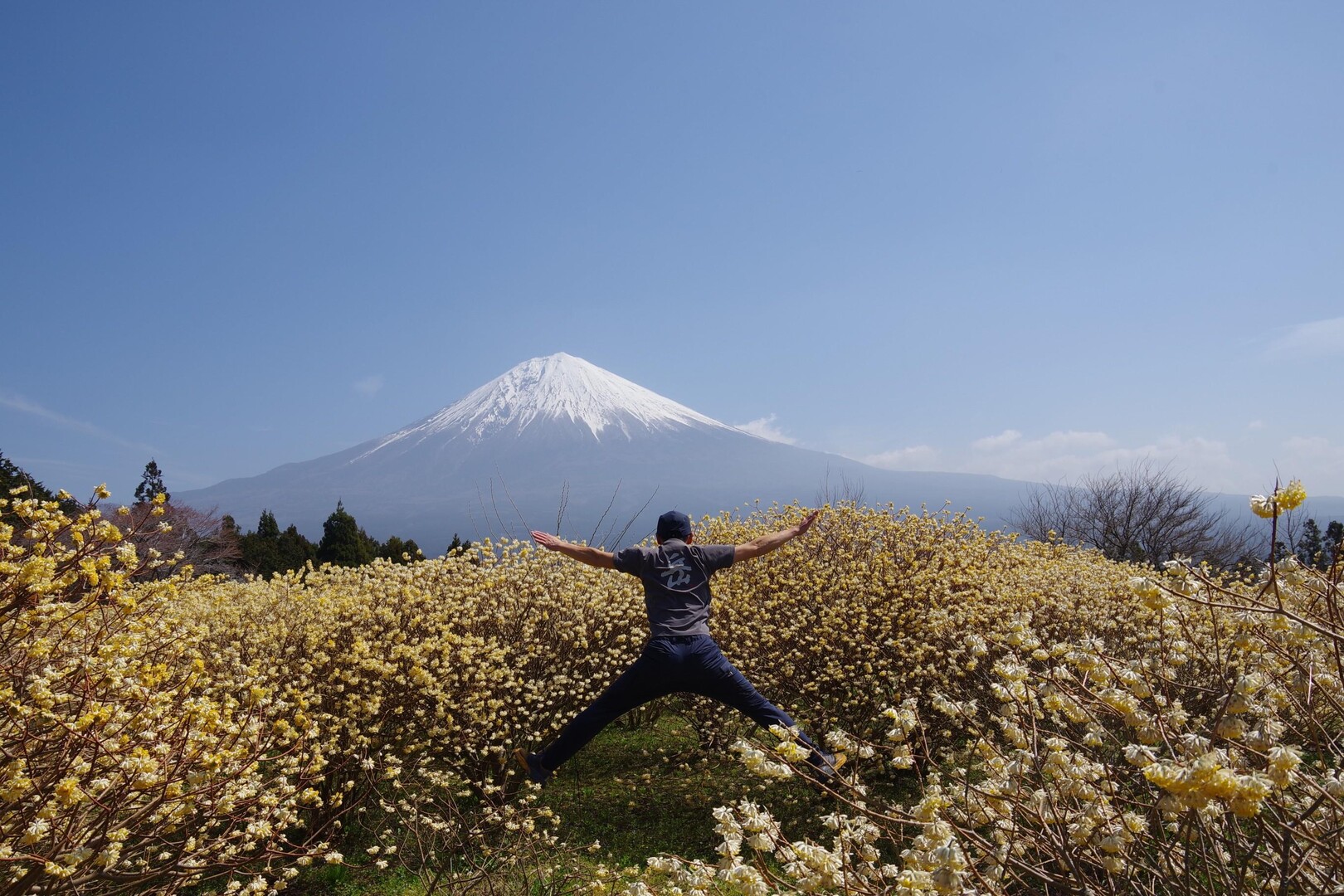 1stドライブ🚗💨in関東 / kimnieさんの節刀ヶ岳・破風山・足和田山の活動データ | YAMAP / ヤマップ