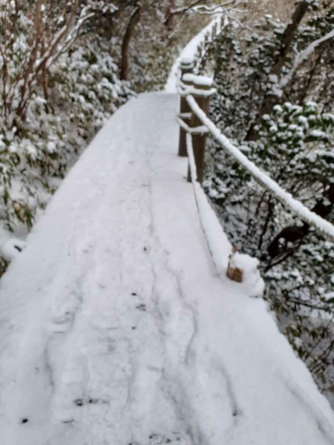 CASIOPEAさんの投稿したフィールドメモ | YAMAP / ヤマップ