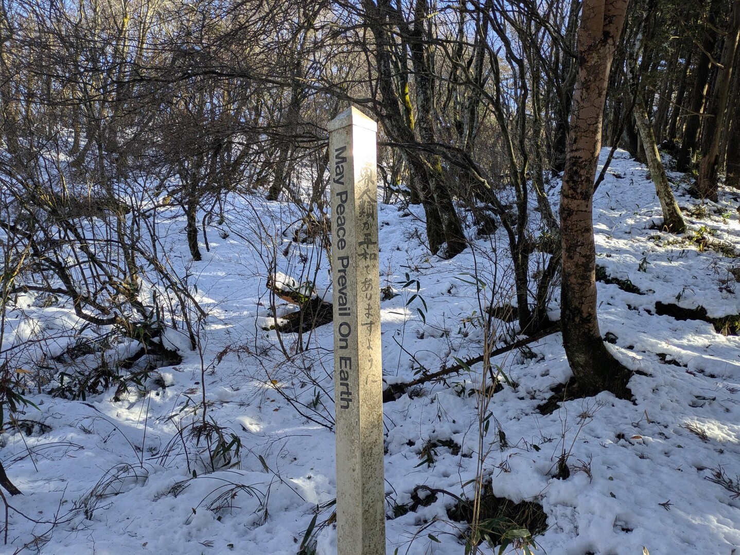 相名峠 / yu−yuさんの石鎚山・堂ヶ森・二ノ森の活動日記へのコメント一覧 | YAMAP / ヤマップ