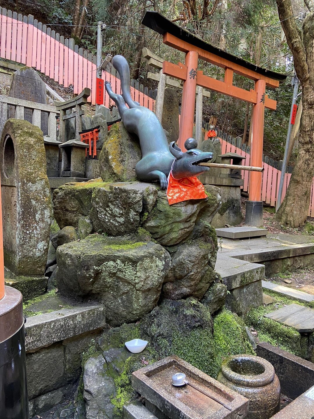 稲荷山・西野山 / chiekoさんの京都一周トレイルの活動データ | YAMAP / ヤマップ