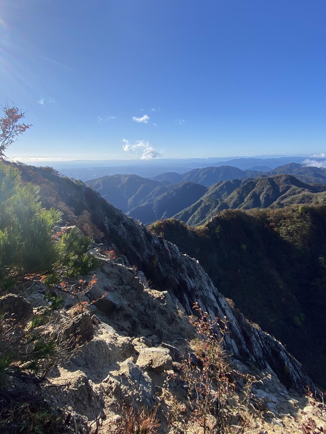 鎌ヶ岳 / 遼7kgさんの入道ヶ岳・鎌ヶ岳・仙ヶ岳の活動データ | YAMAP / ヤマップ